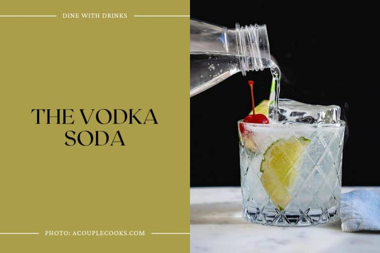 30 Vodka Refreshing Cocktails to Shake Up Your Summer! | DineWithDrinks