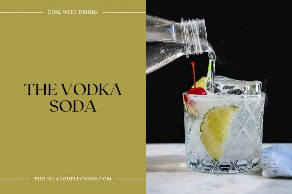 20 Vodka Soda Cocktails to Sip in Style this Summer | DineWithDrinks