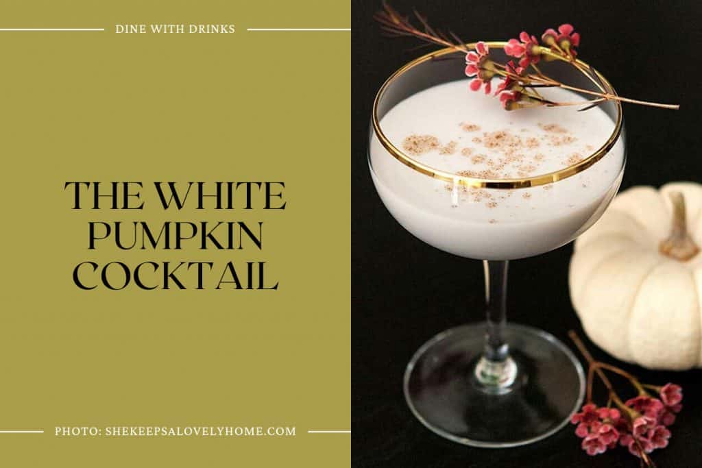 27 Pumpkin Cocktails to Spice up Your Fall Happy Hour! | DineWithDrinks