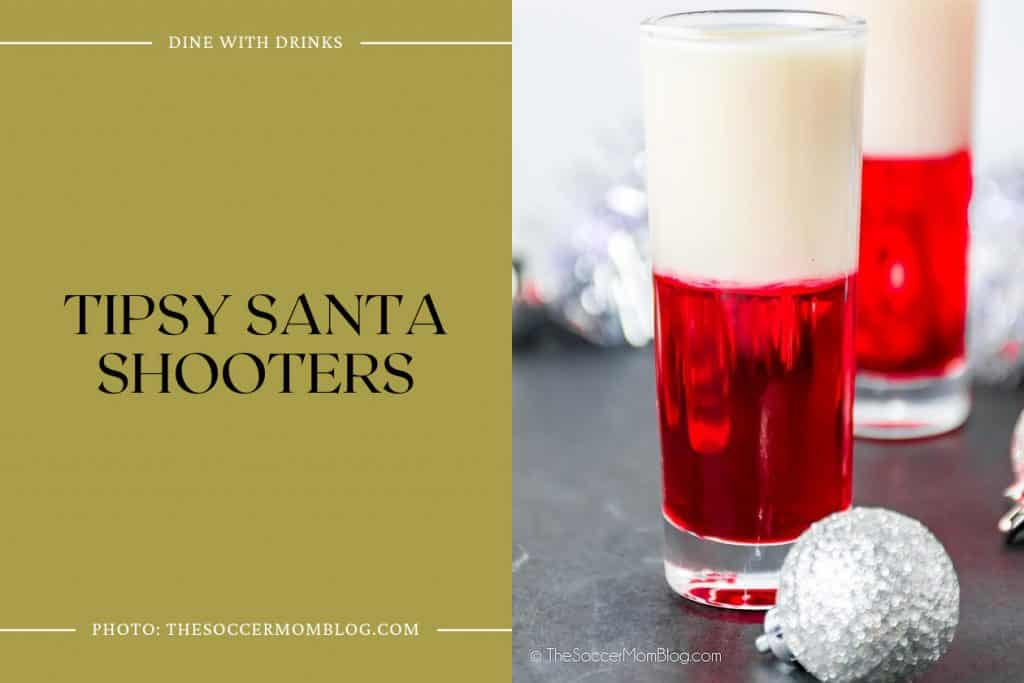 19 Santa Cocktails to Get You in the Holly Jolly Spirit! | DineWithDrinks