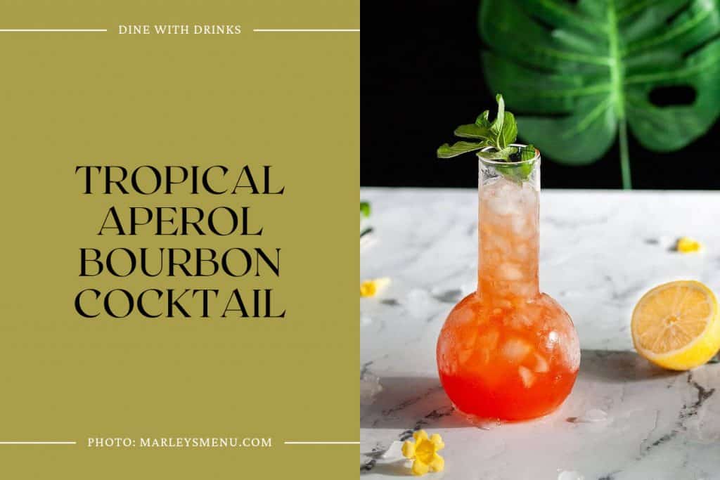 16 Amari Cocktails To Shake Up Your Cocktail Game | DineWithDrinks