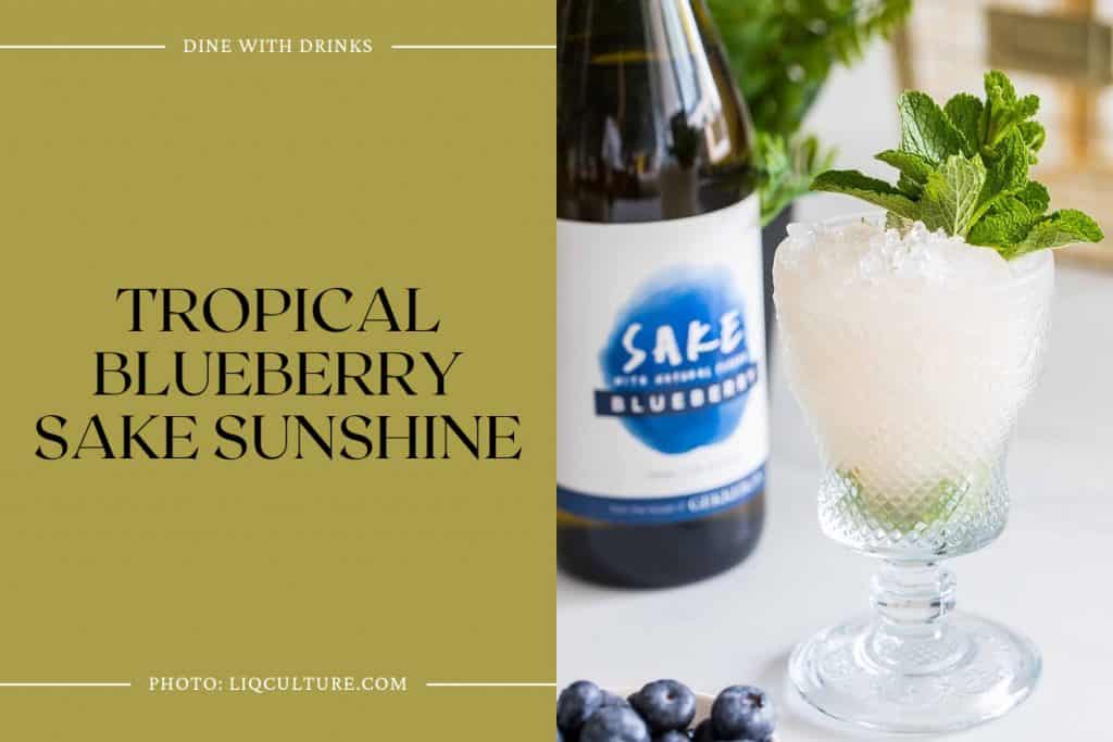12 Summer Sake Cocktails to Shake Up Your Sunny Season! | DineWithDrinks