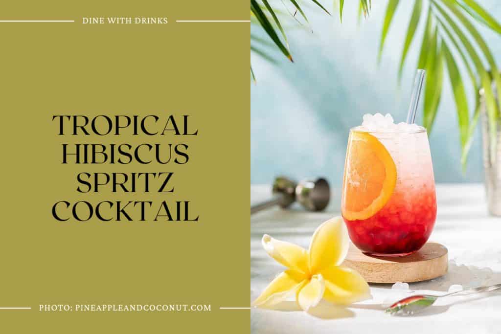 29 Hibiscus Cocktails to Sip on and Melt your Heart Away! | DineWithDrinks