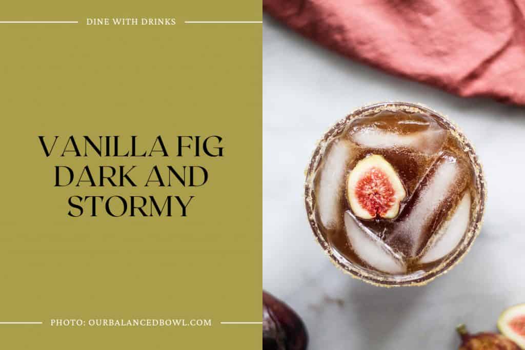 26 Fig Cocktails To Sip and Savor All Year Round | DineWithDrinks