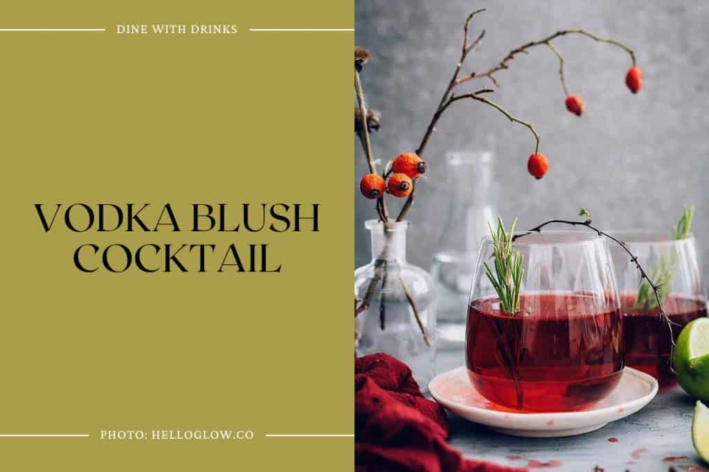 26 Fall Vodka Cocktails to Warm Up Your Autumn Nights! | DineWithDrinks