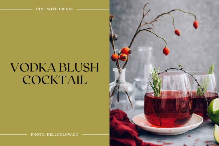 22 Vodka Grenadine Cocktails to Shake Up Your Happy Hour! | DineWithDrinks
