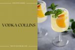 20 Vodka Club Soda Cocktails to Shake Up Your Night! | DineWithDrinks