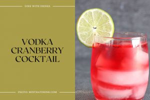 32 Frozen Vodka Cocktails to Chill Your Summer Nights! | DineWithDrinks