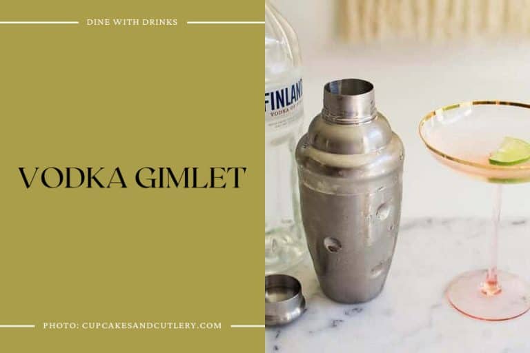 29 Summer Vodka Cocktails to Sip and Savor All Season Long | DineWithDrinks
