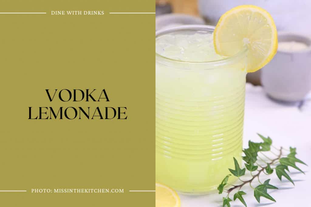 33 Vodka Easy Cocktails to Shake Up Your Next Party! | DineWithDrinks