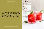 14 Gin and Watermelon Cocktails to Sweeten Your Sip! | DineWithDrinks
