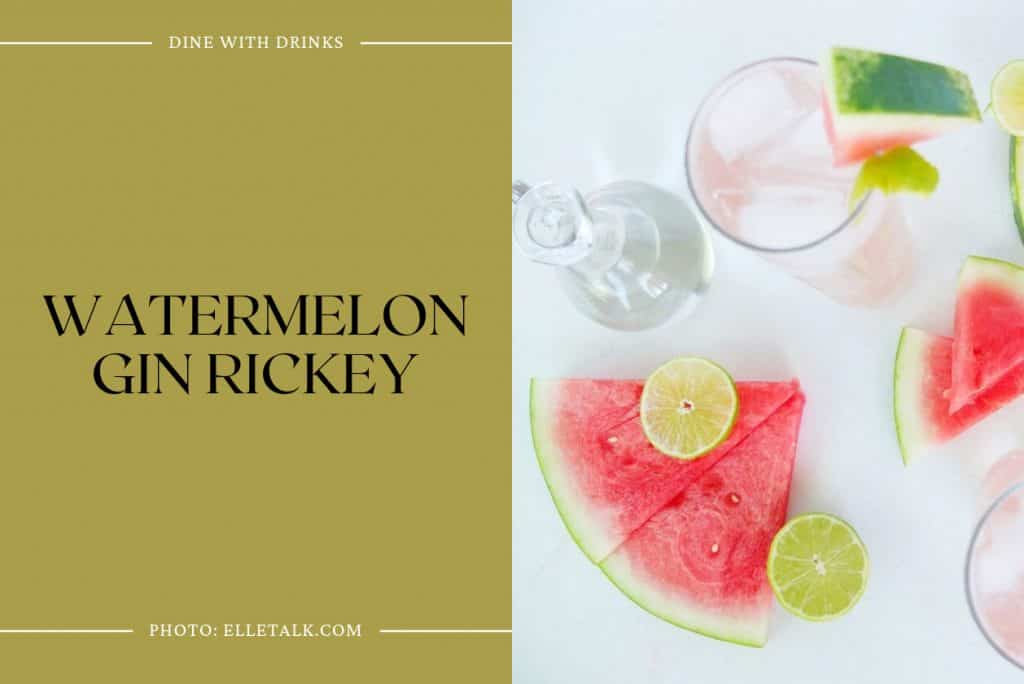 14 Gin and Watermelon Cocktails to Sweeten Your Sip! | DineWithDrinks