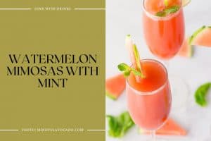 22 Best Watermelon Mint Cocktails | DineWithDrinks