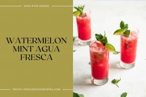 22 Best Watermelon Mint Cocktails | DineWithDrinks