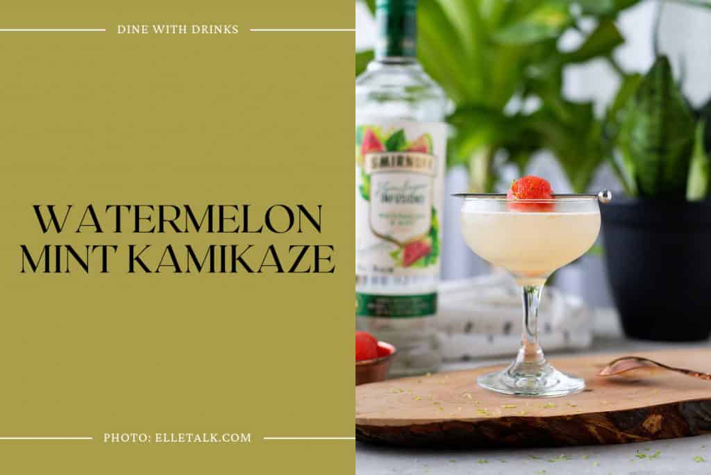 22 Best Watermelon Mint Cocktails | DineWithDrinks