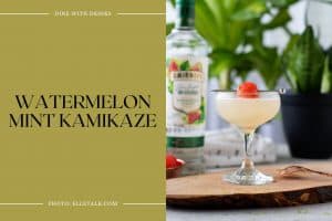 30 Mint and Vodka Cocktails to Freshen Up Your Happy Hour! | DineWithDrinks