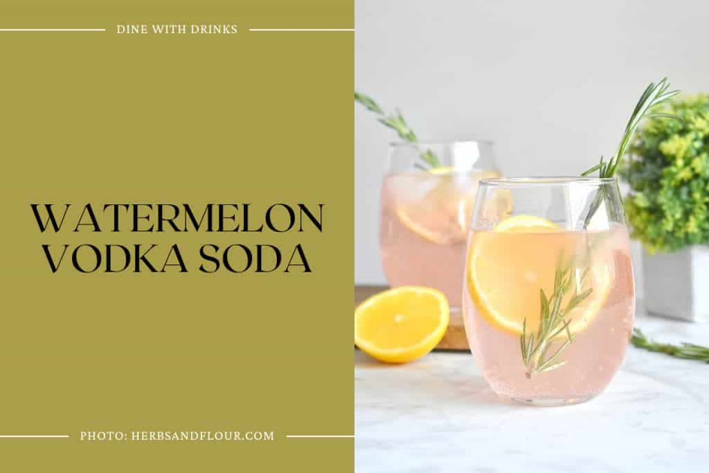 29 Summer Vodka Cocktails to Sip and Savor All Season Long | DineWithDrinks