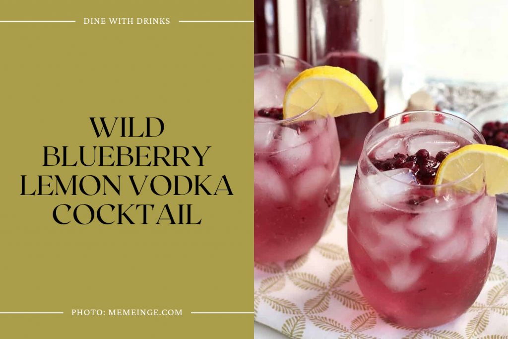 11 Best Huckleberry Vodka Cocktails to Quench Your Thirst! | DineWithDrinks