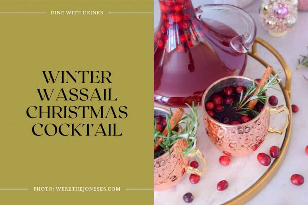 29 Winter Punch Cocktails to Warm Up Your Soul | DineWithDrinks