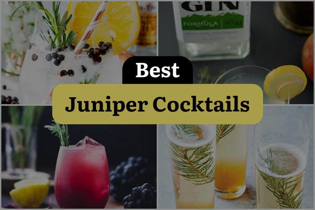 11 Juniper Cocktails to Shake Up Your Happy Hour | DineWithDrinks