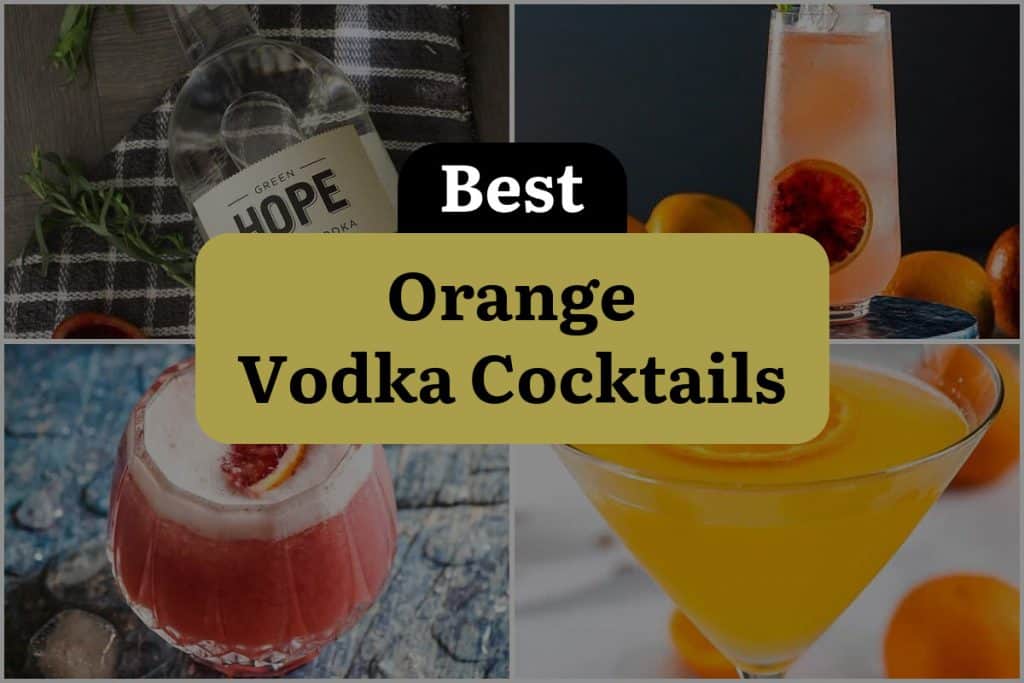 31 Orange Vodka Cocktails to Keep You Sipping and Smiling | DineWithDrinks