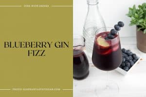 17 Blueberry Gin Cocktails That Will Blow Your Mind! | DineWithDrinks