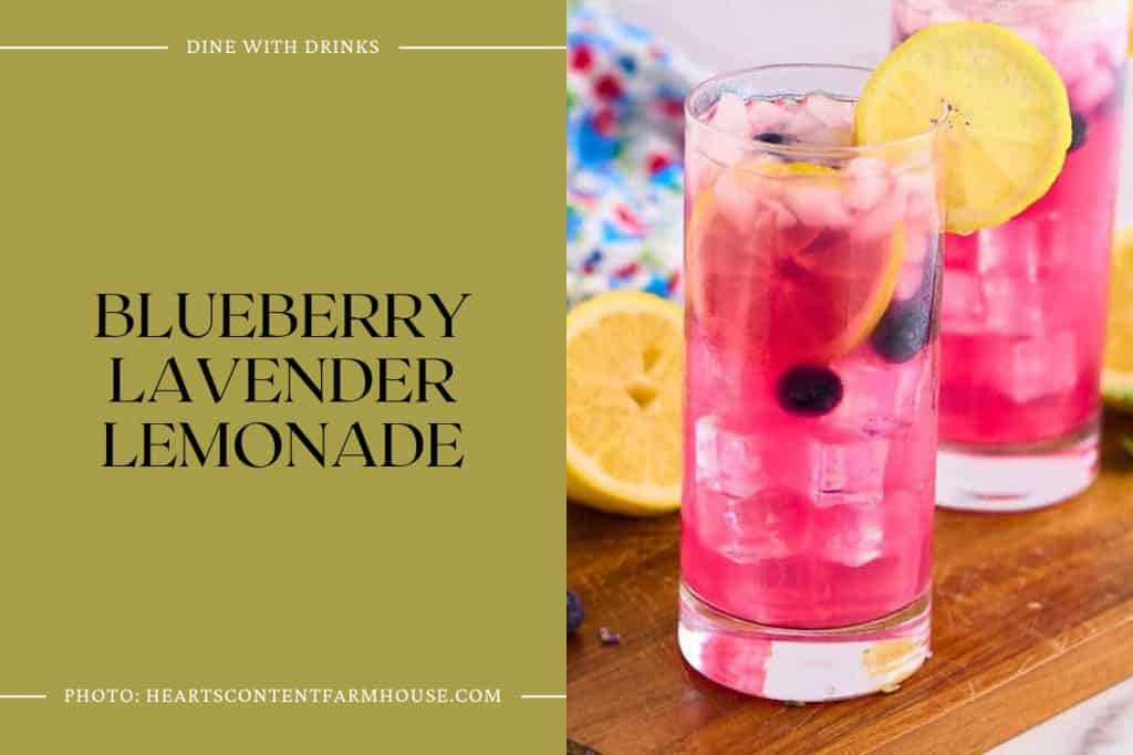 28 Blueberry Vodka Cocktails that are Berrylicious and Boozy ...