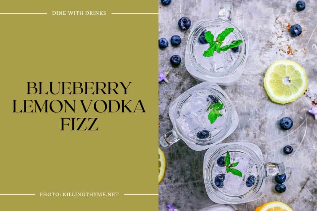 28 Blueberry Vodka Cocktails that are Berrylicious and Boozy ...