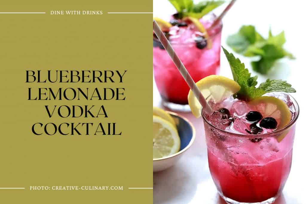 28 Blueberry Vodka Cocktails that are Berrylicious and Boozy ...