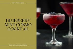 28 Blueberry Vodka Cocktails that are Berrylicious and Boozy ...