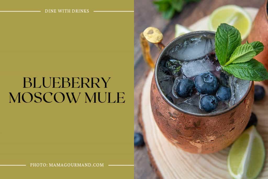 28 Blueberry Vodka Cocktails that are Berrylicious and Boozy ...