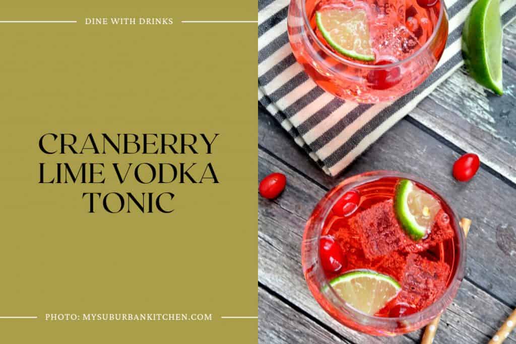 16 Cranberry Infused Vodka Cocktails to Shake Up Your Night ...
