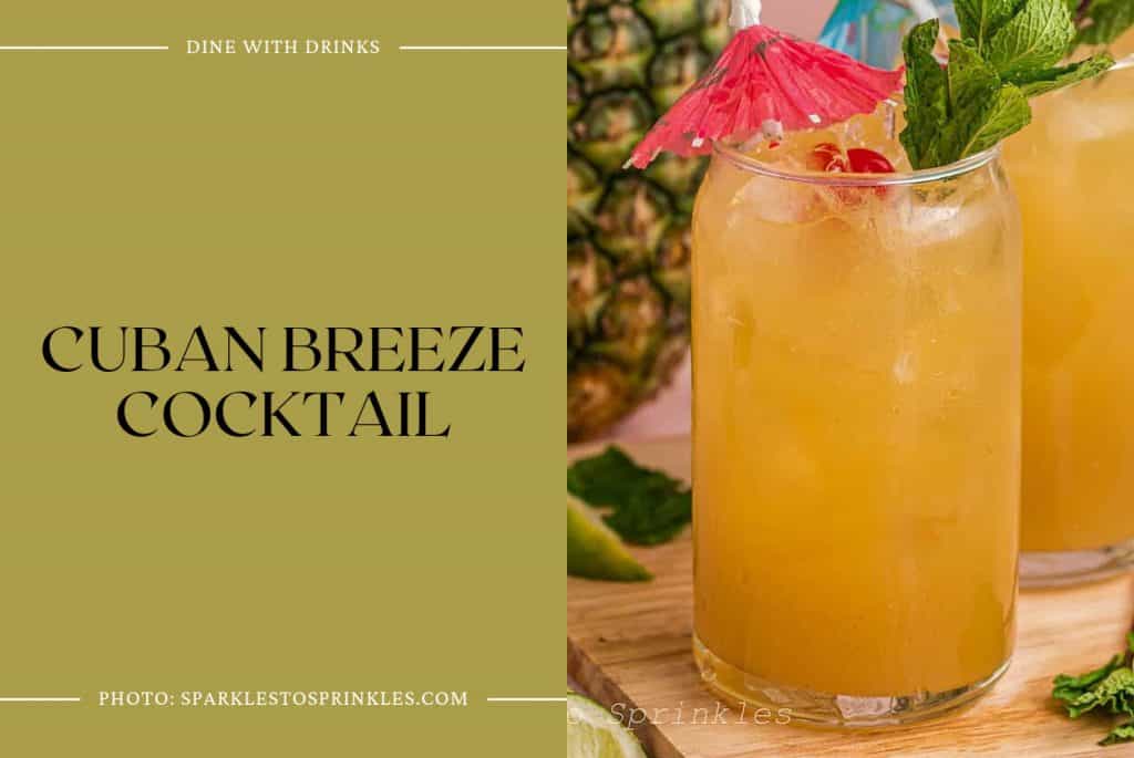 25 Cuban Cocktails that will Transport You to Havana in a Sip ...