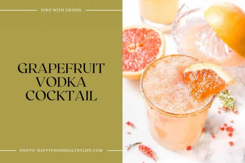 35 Citrus Vodka Cocktails to Sip and Savor All Summer Long | DineWithDrinks