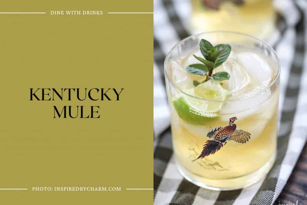 32 Christmas Mule Cocktails to Jingle Your Bells! | DineWithDrinks
