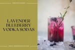28 Blueberry Vodka Cocktails that are Berrylicious and Boozy ...