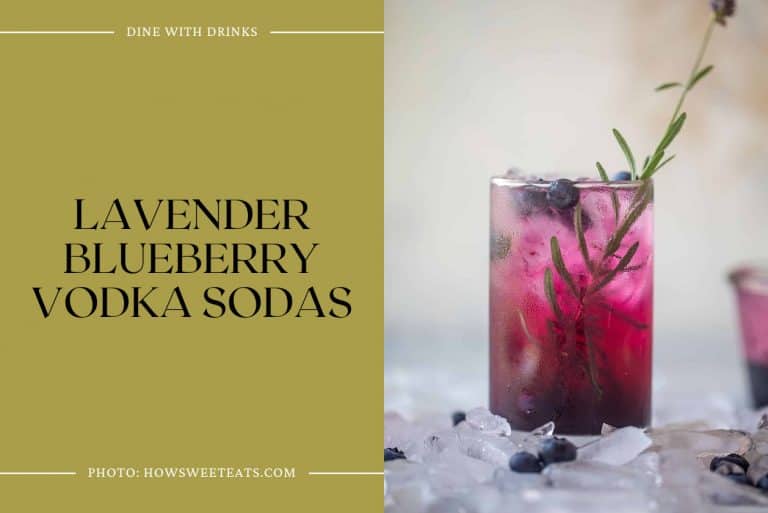 28 Blueberry Vodka Cocktails that are Berrylicious and Boozy ...