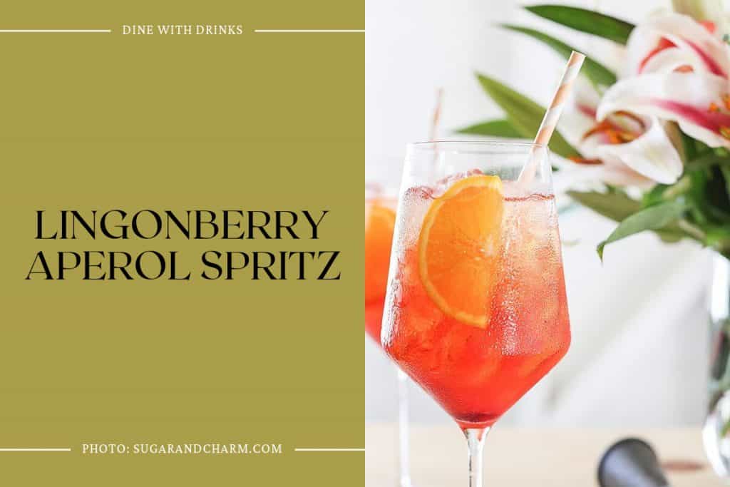 26 Spritz Cocktails That Will Refresh Your Summer | DineWithDrinks