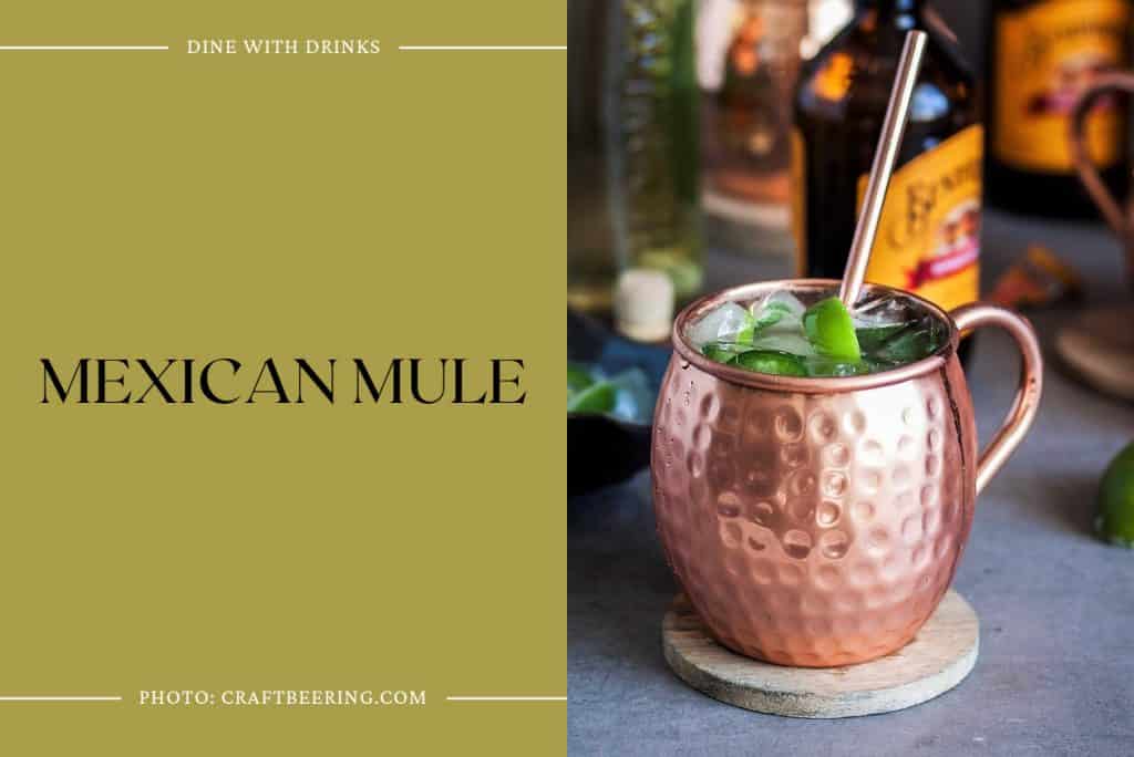 22 Mexican Brunch Cocktails to Spice Up Your Mornings! | DineWithDrinks