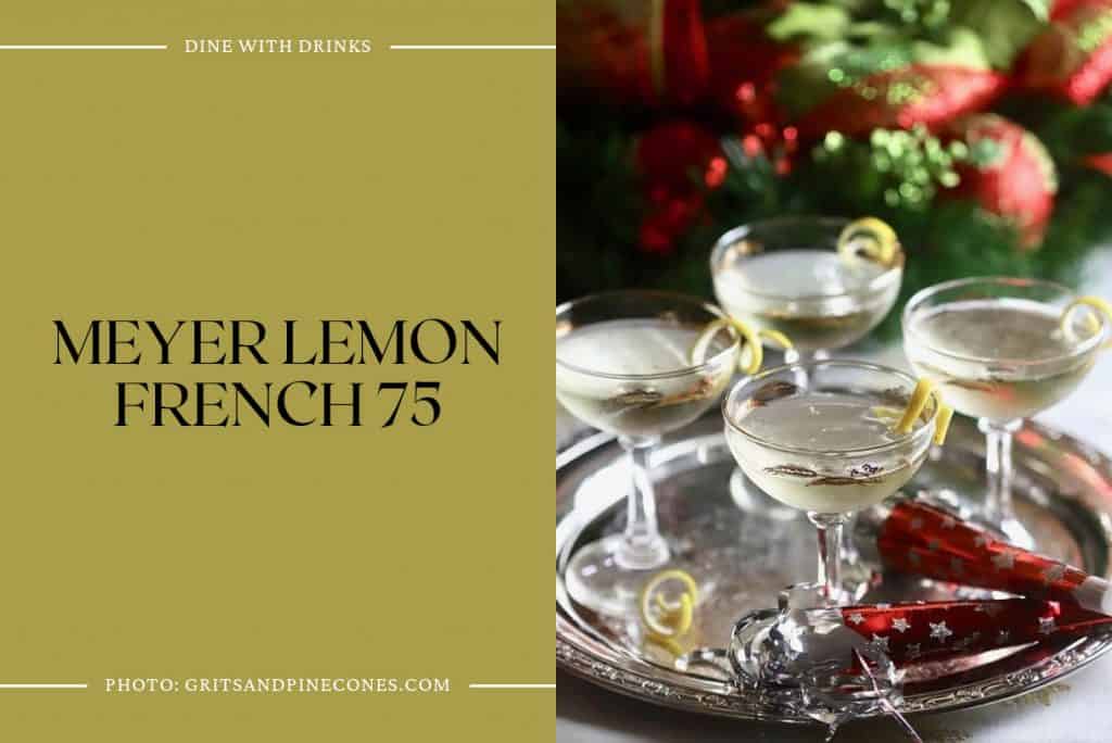 24 Meyer Lemon Cocktails That Will Brighten Up Your Party! | DineWithDrinks