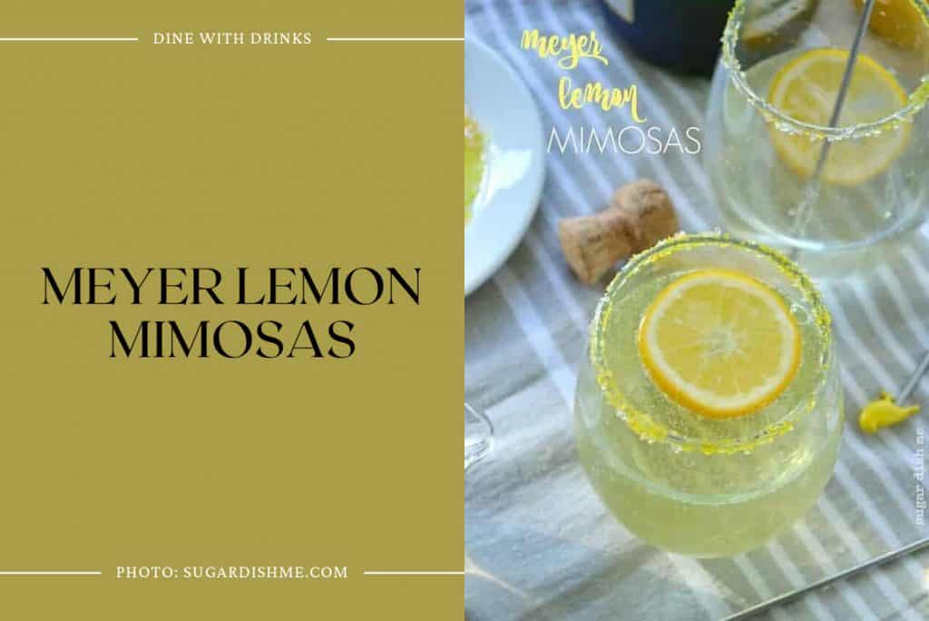 24 Meyer Lemon Cocktails That Will Brighten Up Your Party! | DineWithDrinks