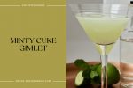 27 Classic Gin Cocktails to Shake and Stir Up Your Summer! | DineWithDrinks