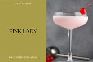 15 Gin and Grenadine Cocktails to Shake Up your Summer! | DineWithDrinks