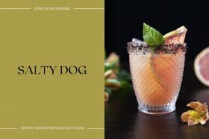 26 Salty Cocktails That Will Shake Up Your Taste Buds! | DineWithDrinks