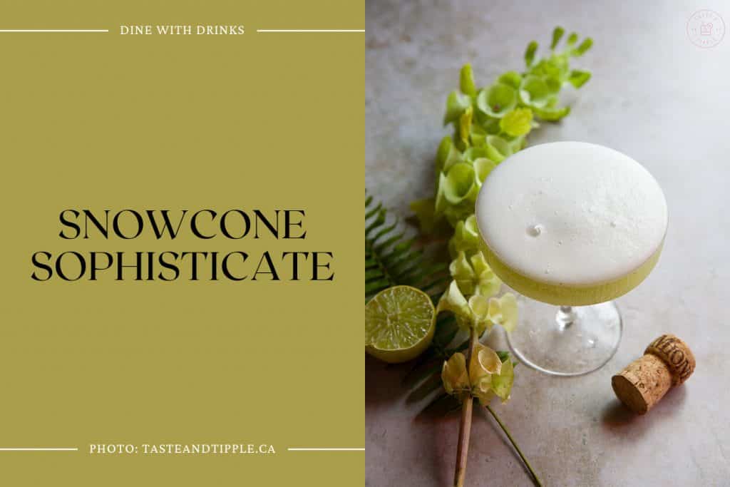 12 Snow Cocktails to Warm Up Your Winter Nights! | DineWithDrinks