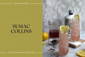 7 Coolest Cocktails to Shake Up Your Next Party! | DineWithDrinks