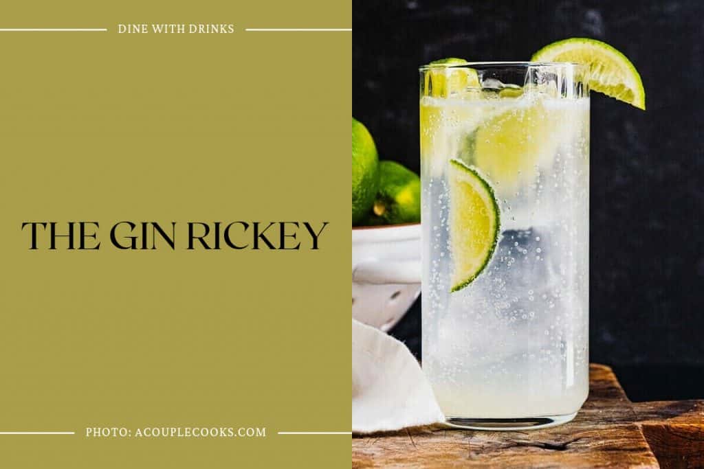 18 Highball Cocktails to Shake Up Your Happy Hour! | DineWithDrinks