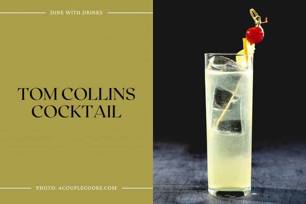 27 Classic Gin Cocktails to Shake and Stir Up Your Summer! | DineWithDrinks
