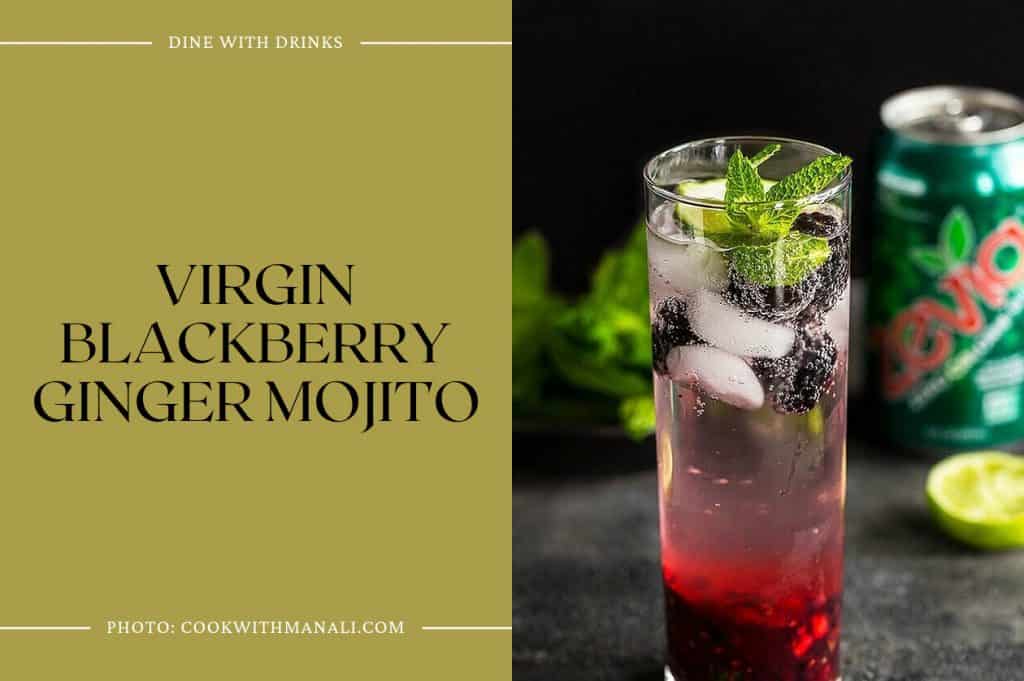 27 Fun Virgin Cocktails: No Booze, Big Fun! | DineWithDrinks