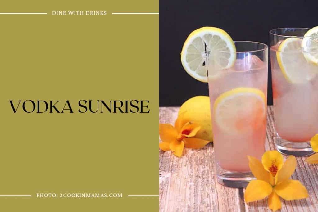 36 Light Vodka Cocktails That Won't Ruin Your Summer Body! | DineWithDrinks